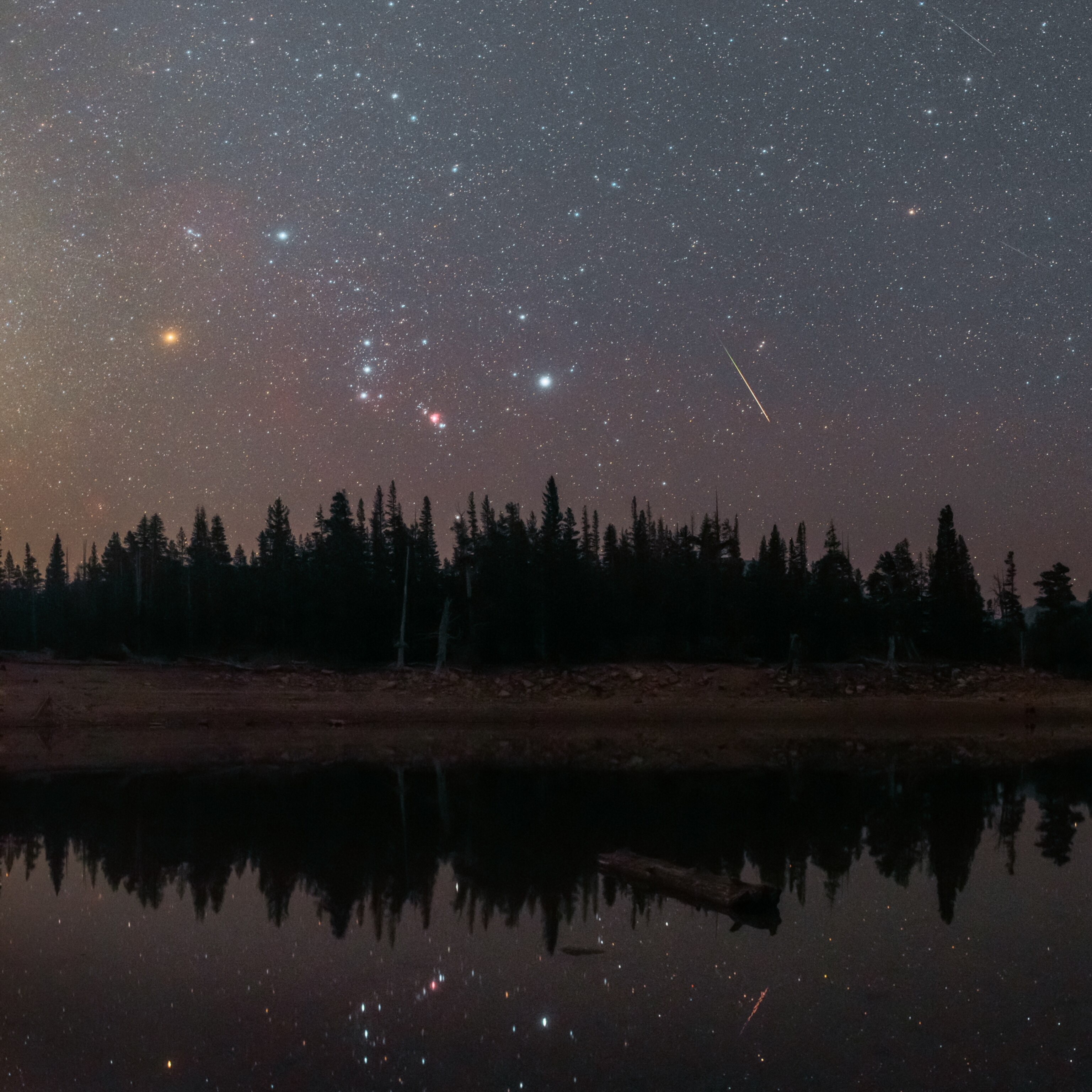 5 famous constellations that (almost) anyone can find