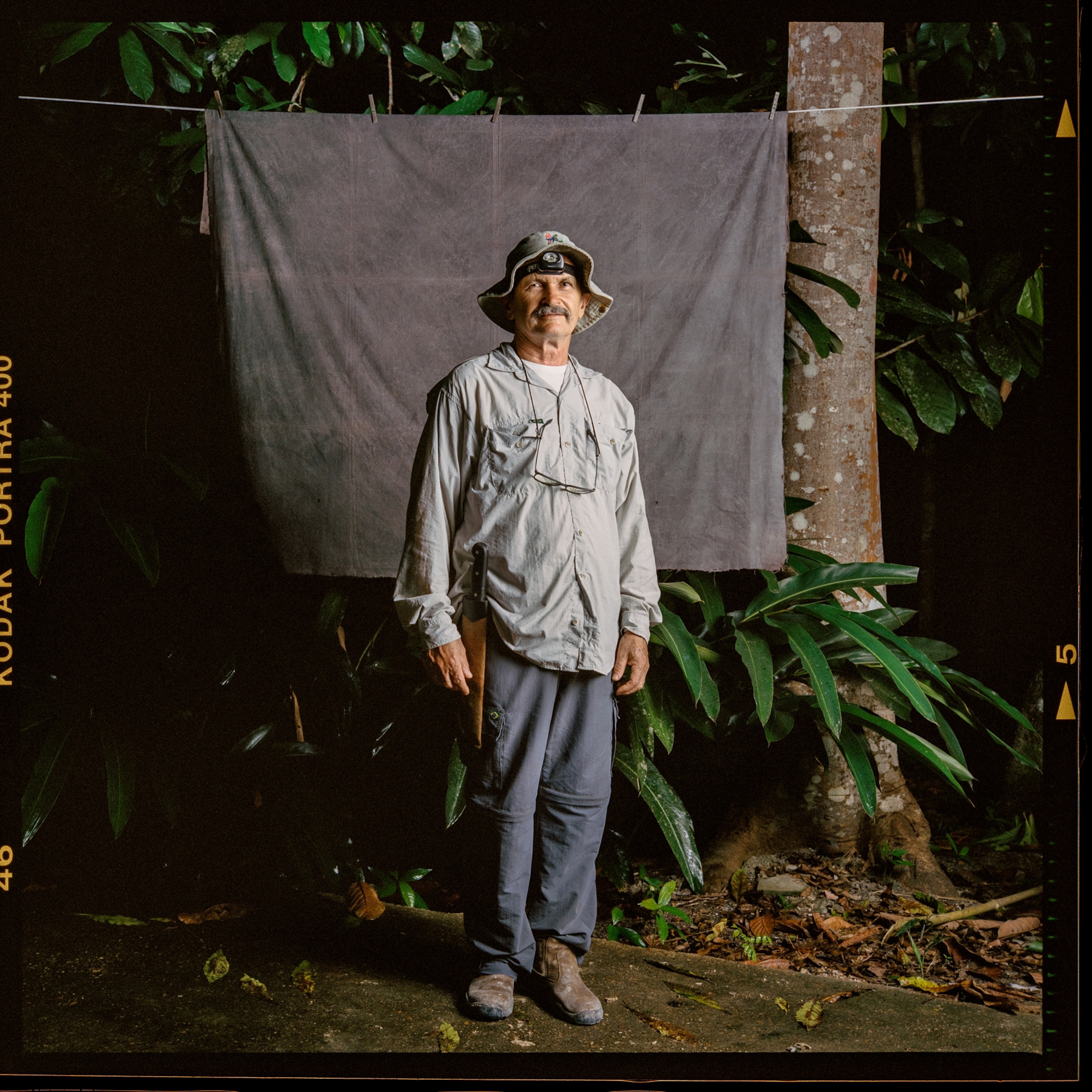 Hundreds of new and unusual insects discovered in the Amazon’s canopy