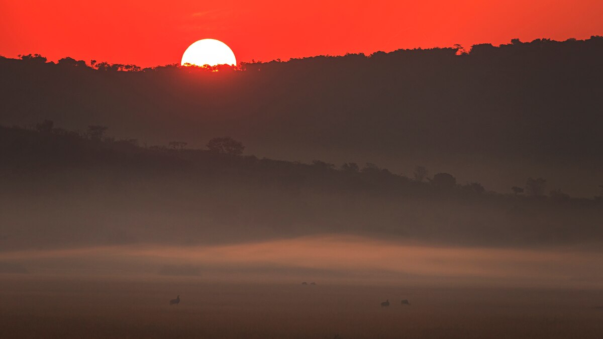 Rwanda rising: A commitment to conservation | National Geographic