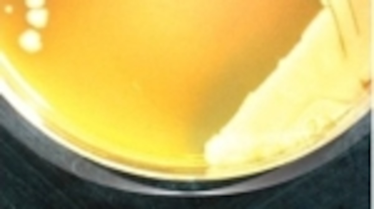 "Deep Delights" | National Geographic