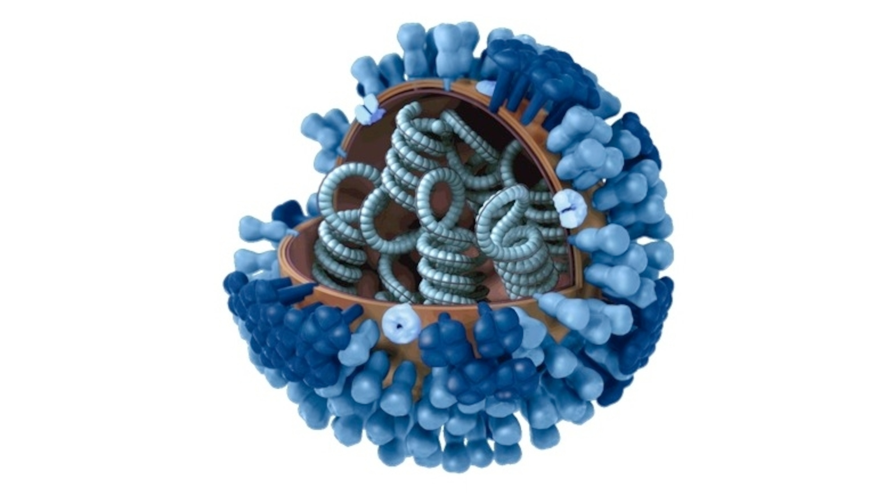 Influenza: Our Incompetent Enemy