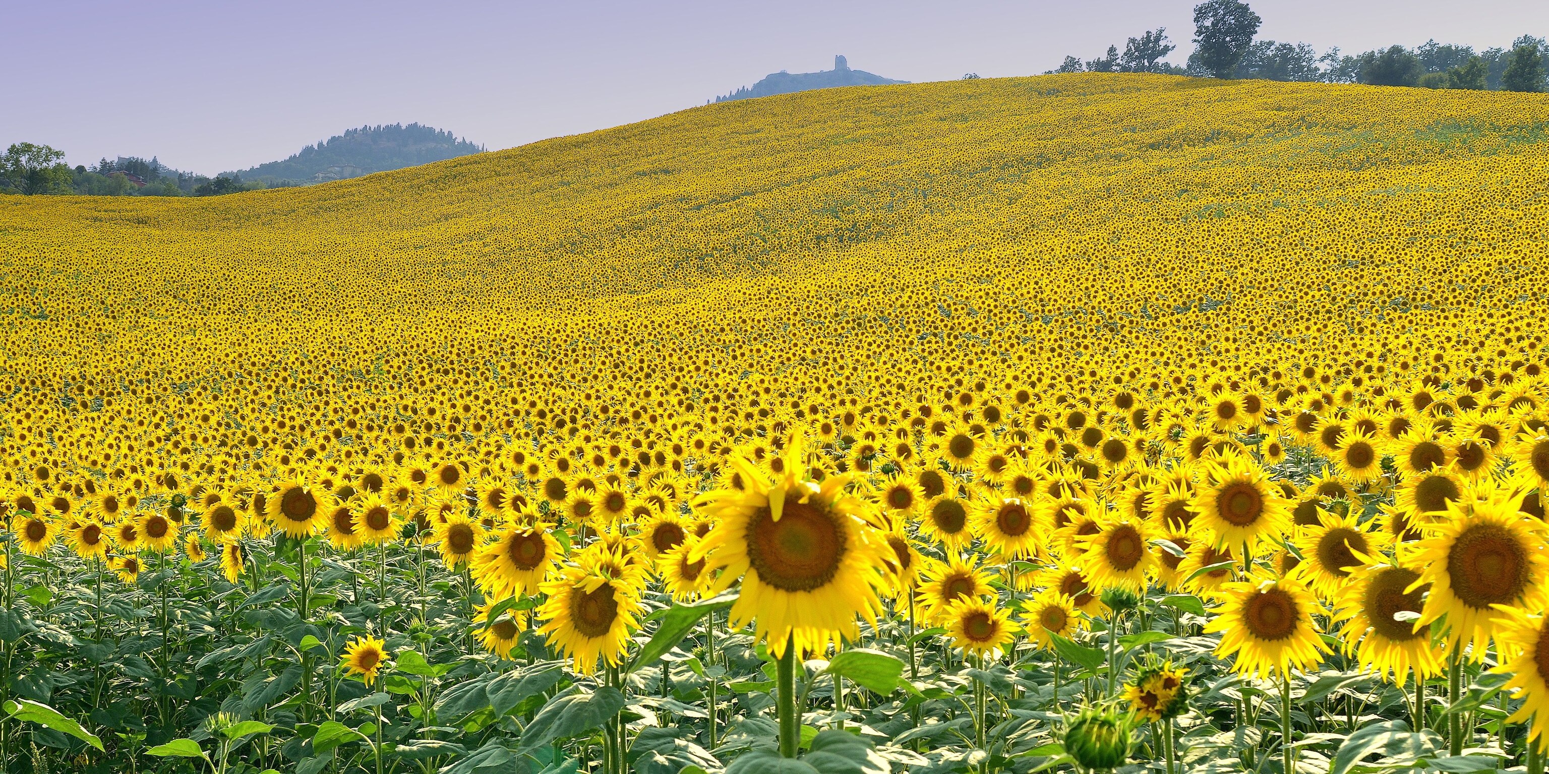 Your Best Summer Trips Pictures