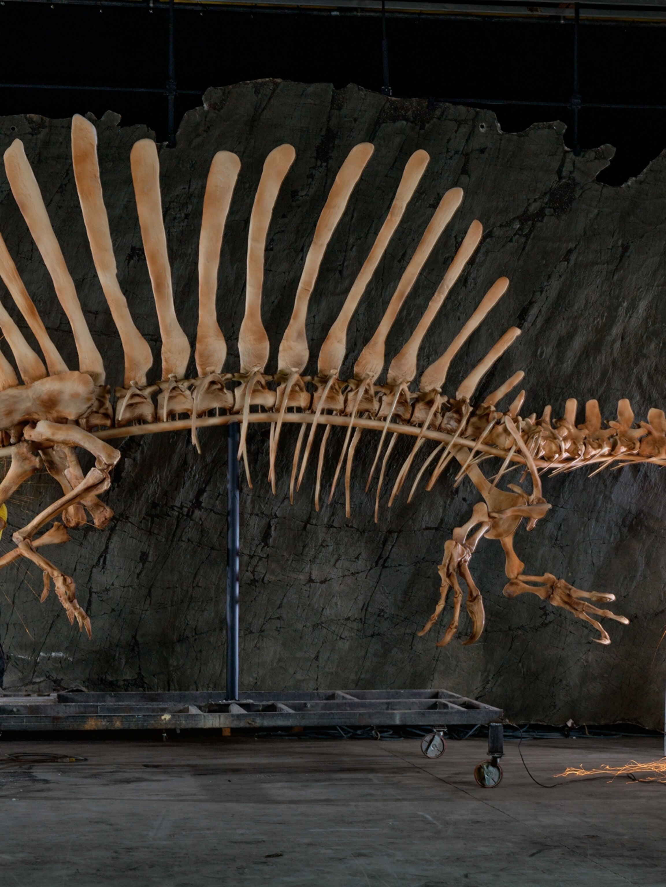 Original Spinosaurus Skeleton