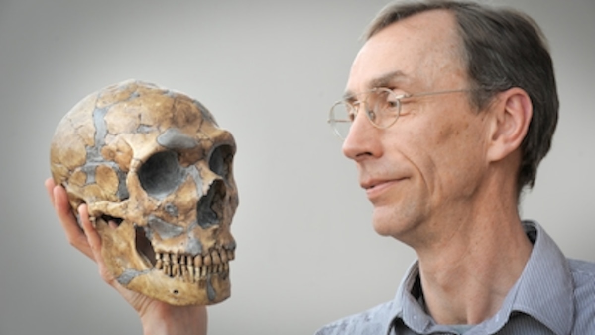 Neanderthal Neuroscience | National Geographic