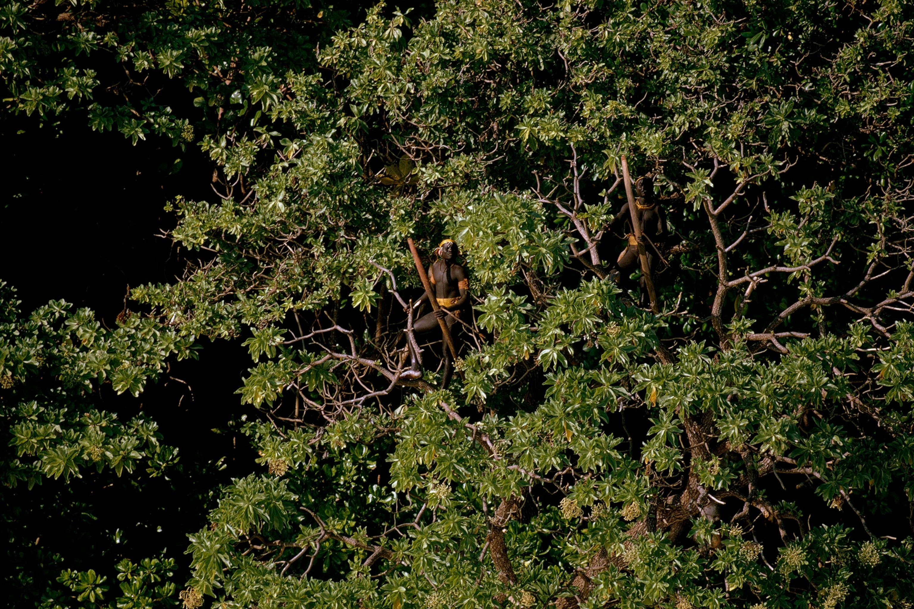 Andaman Islands' isolated tribes' independence may be in danger