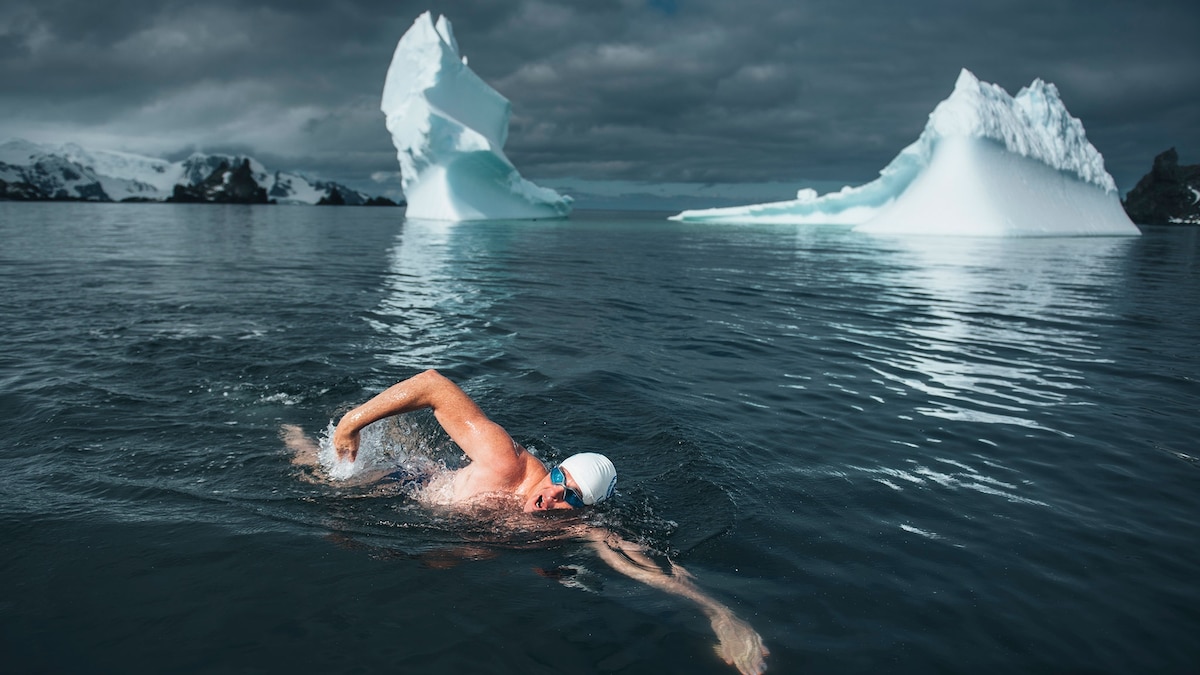 This Man Just Swam in Antarctic Waters in Next to Nothing | National ...