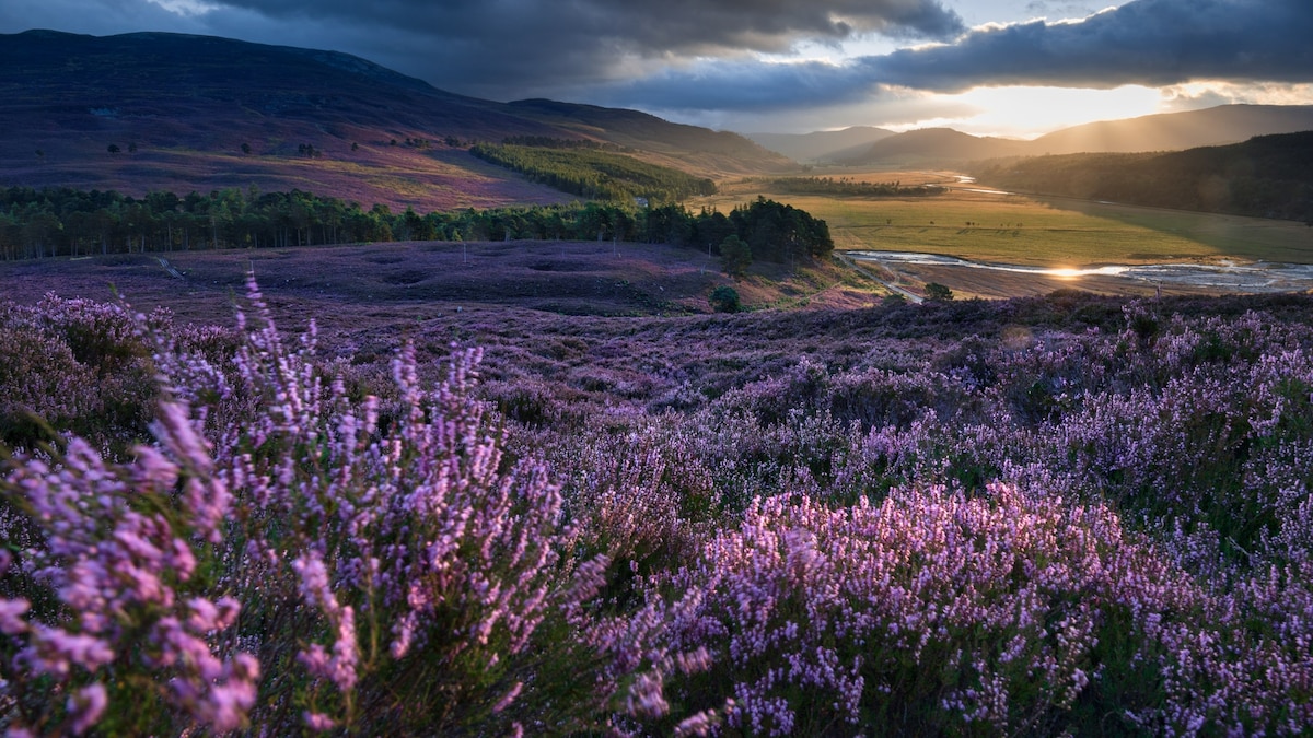 The essential guide to visiting Scotland | National Geographic