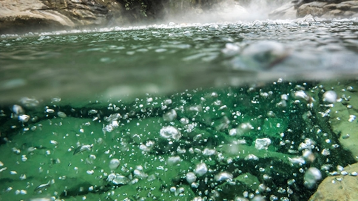 A Legendary Boiling River Flows Through the Amazon. Can It Be Saved ...