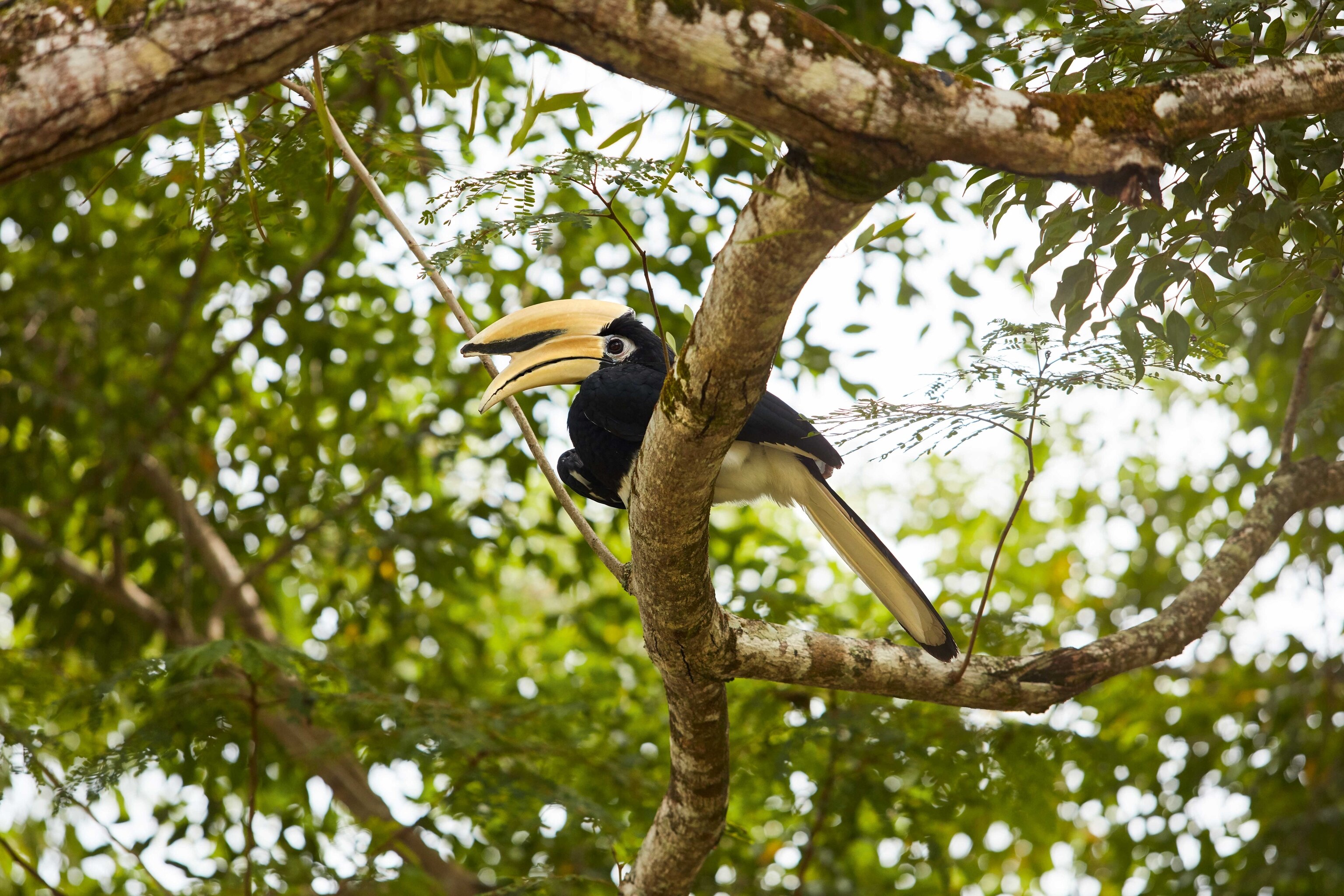 5 ways to explore Sarawak, Malaysia's rising adventure hotspot