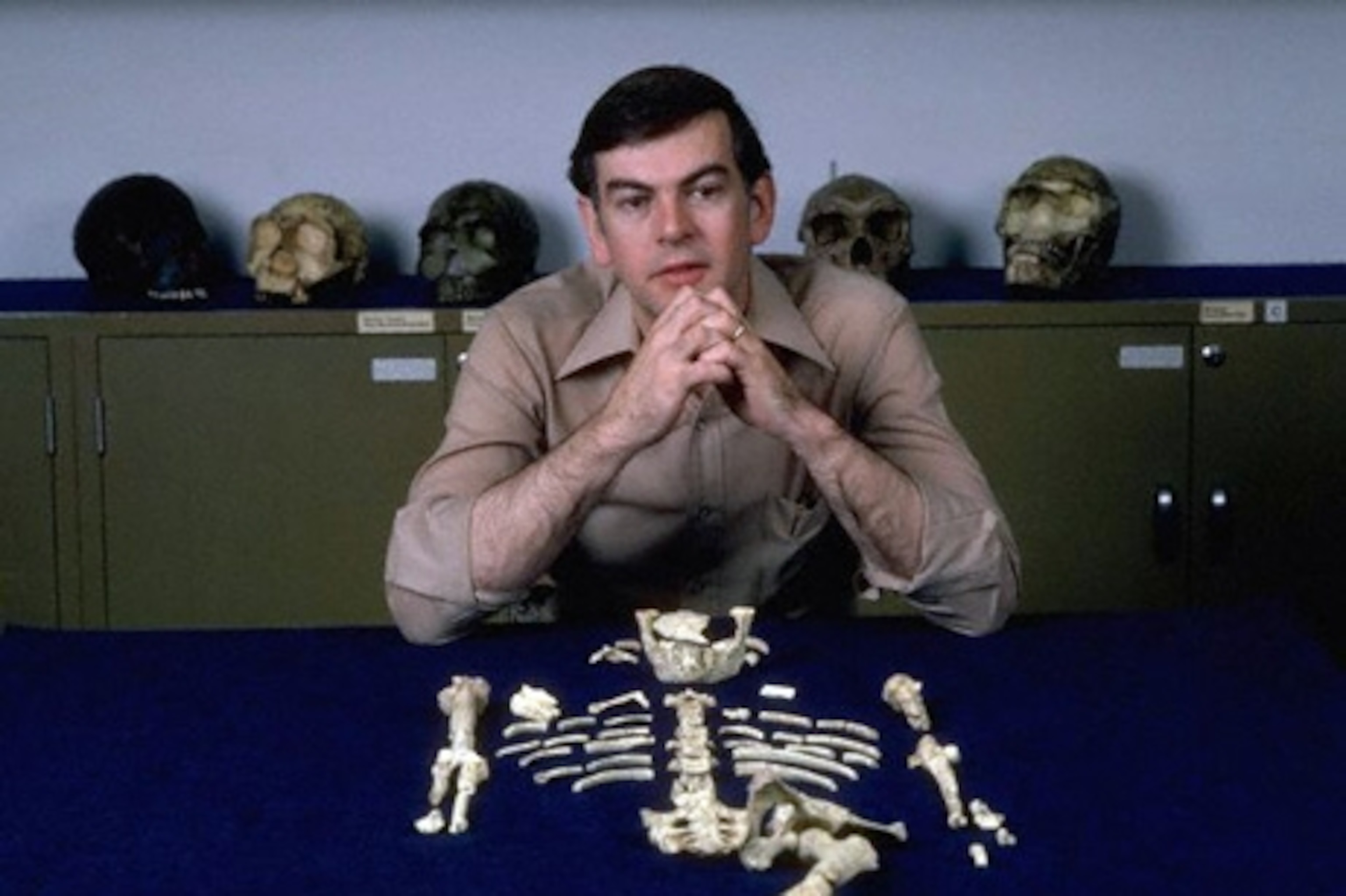 "Lucy's Baby" Adds to Early-Human Record