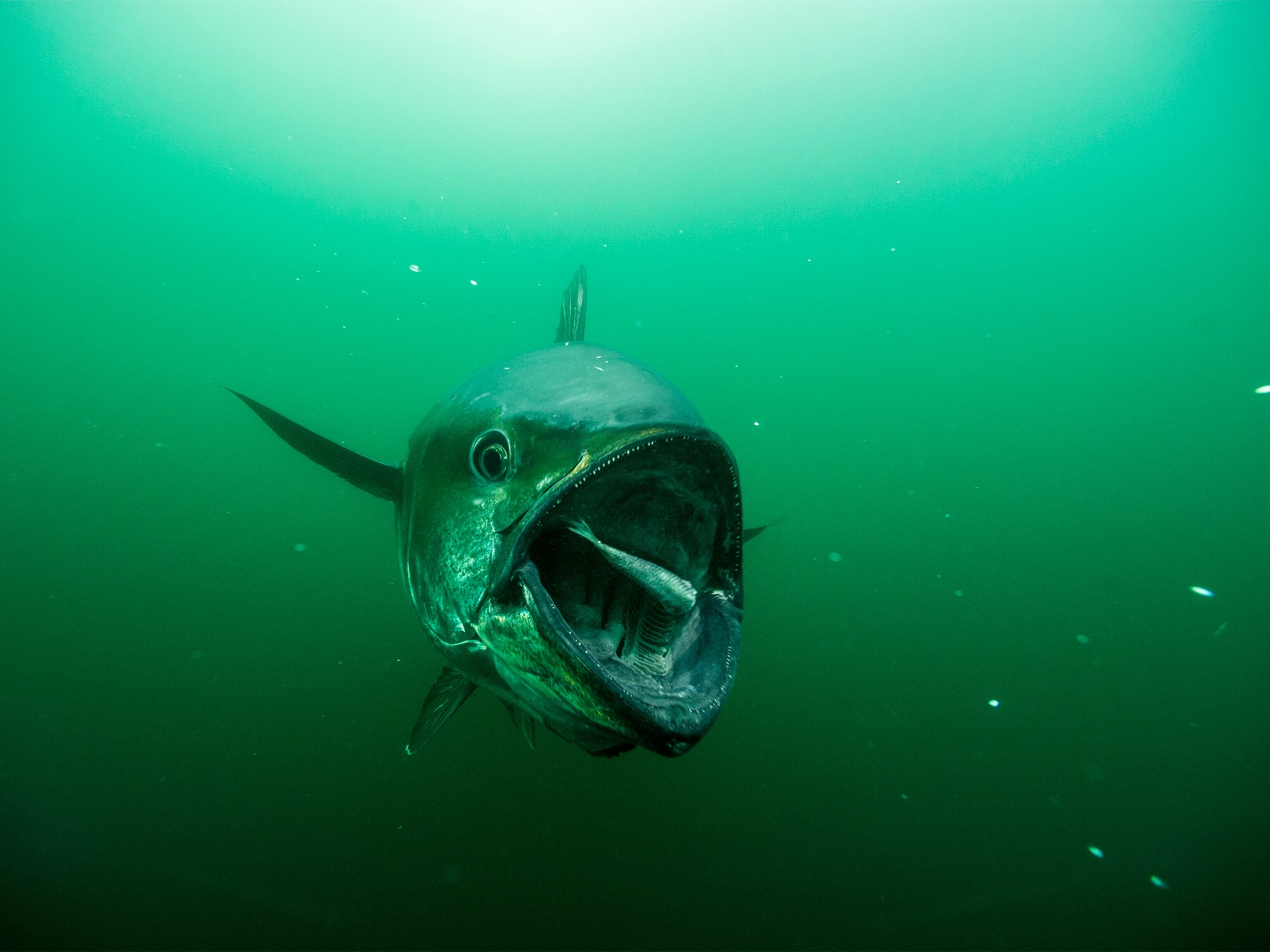 Photo of the Day: Best of March 2014