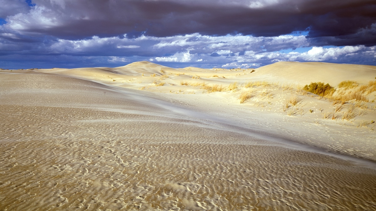 Why You Need More Dirt in Your Life | National Geographic