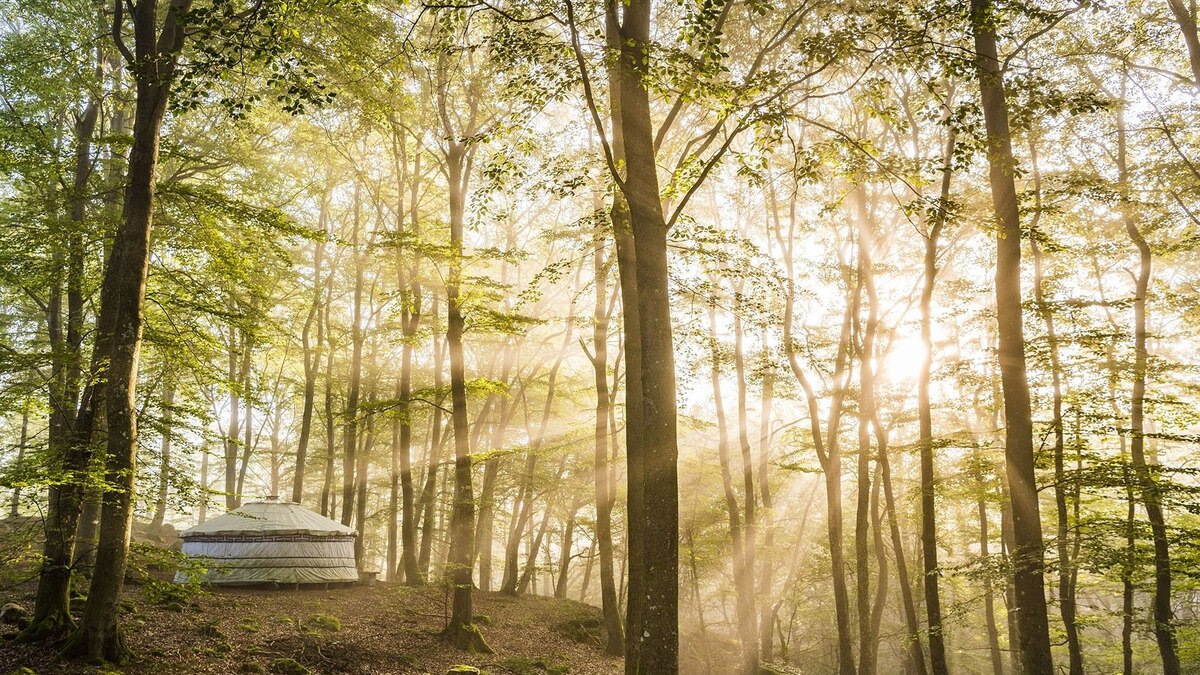 Soulful Skåne: how local culture brings this Swedish province to life ...