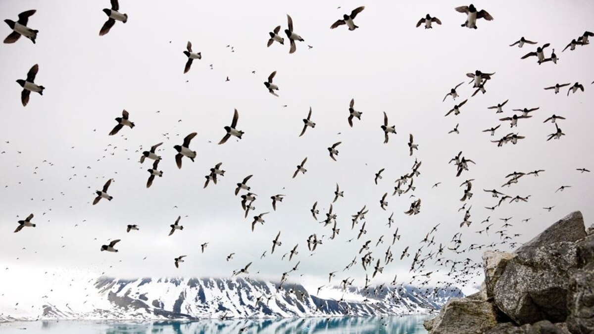 National Parks of Svalbard, Norway -- National Geographic | National ...