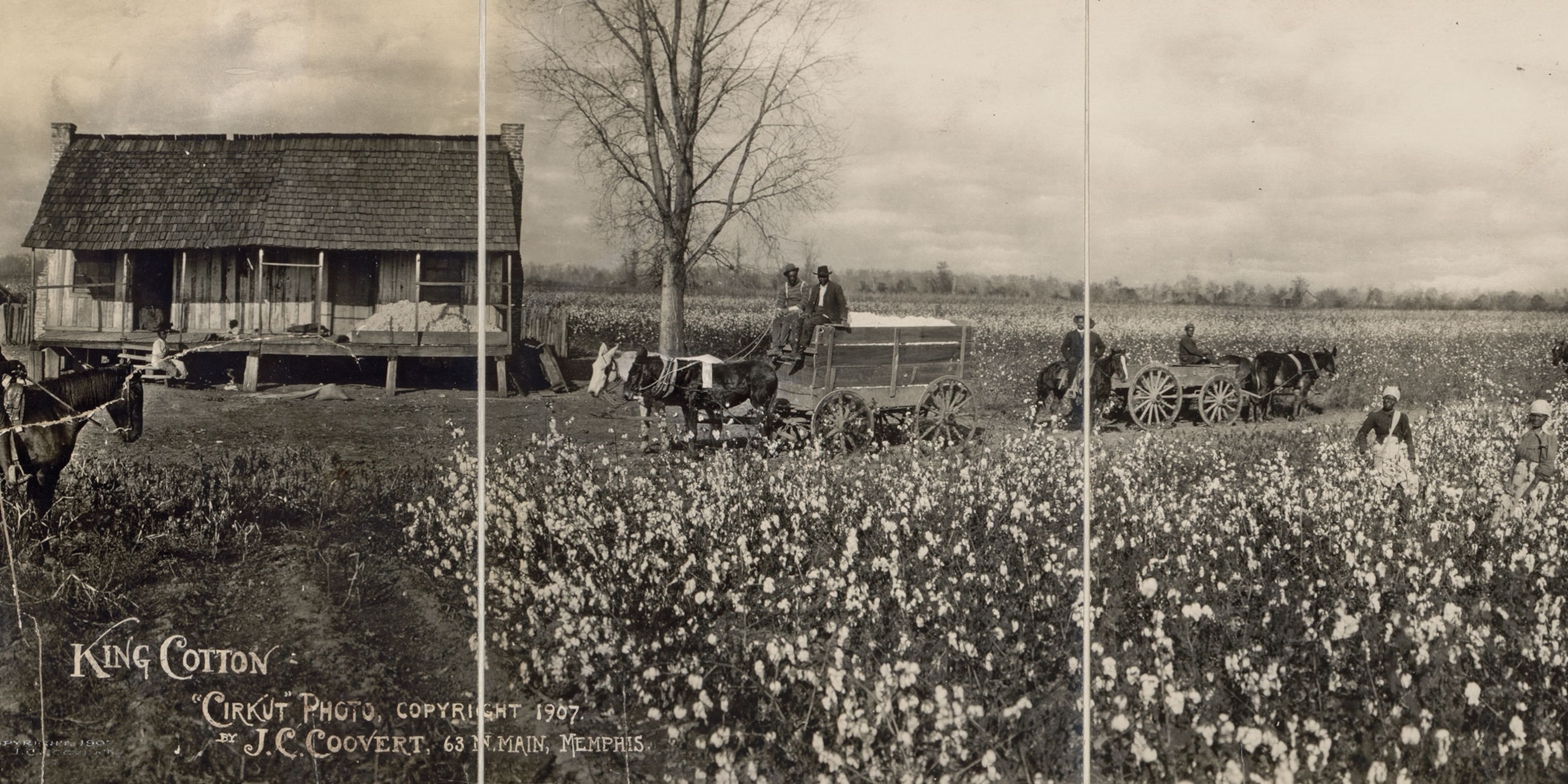 Clotilda: Journey of the last American slave ship