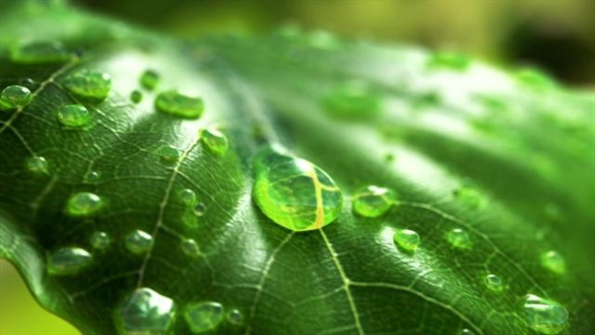 More than recycling: The six stages of a product’s environmental life ...