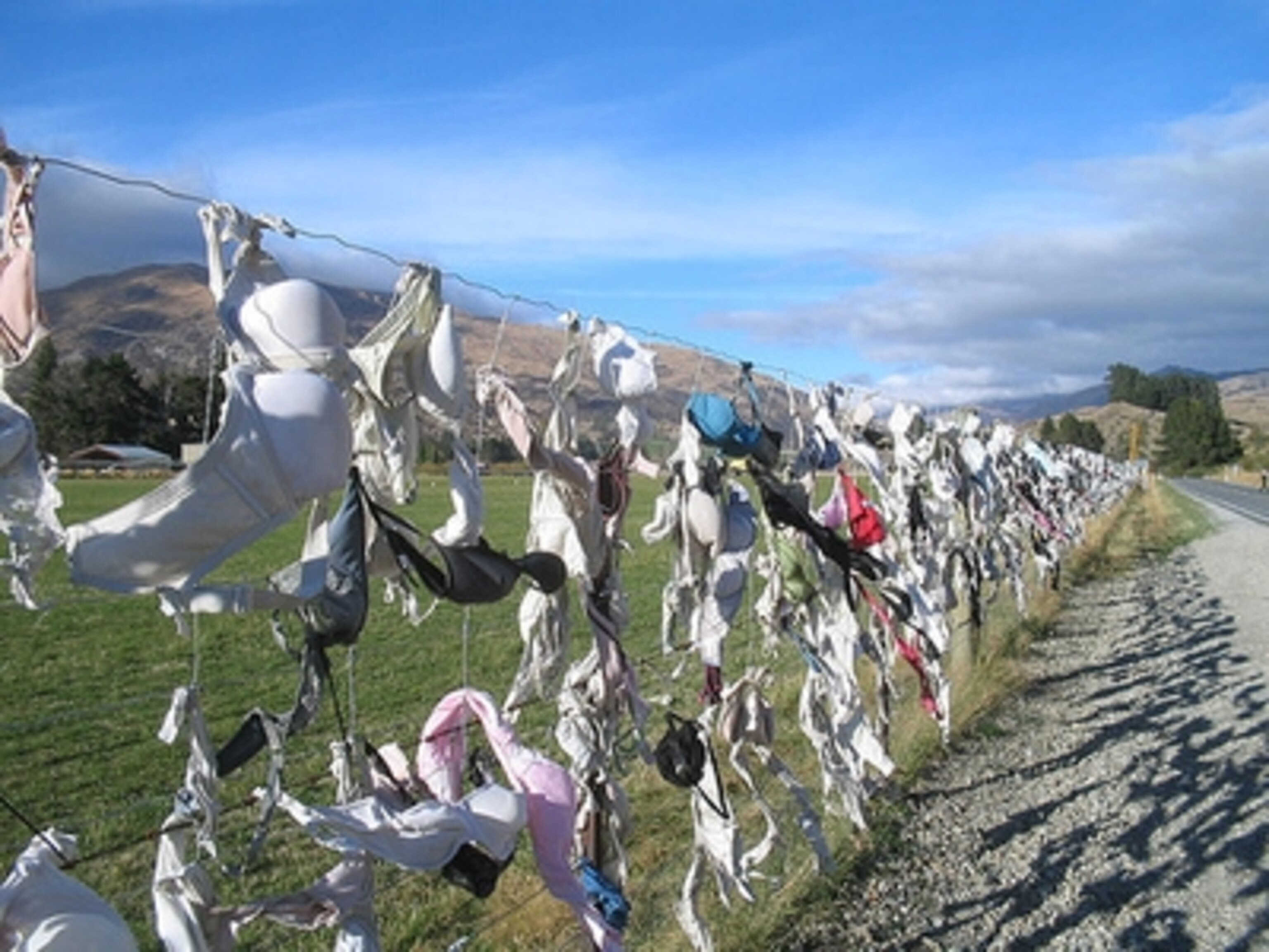 Strange Planet: Knickers in New Zealand | National Geographic