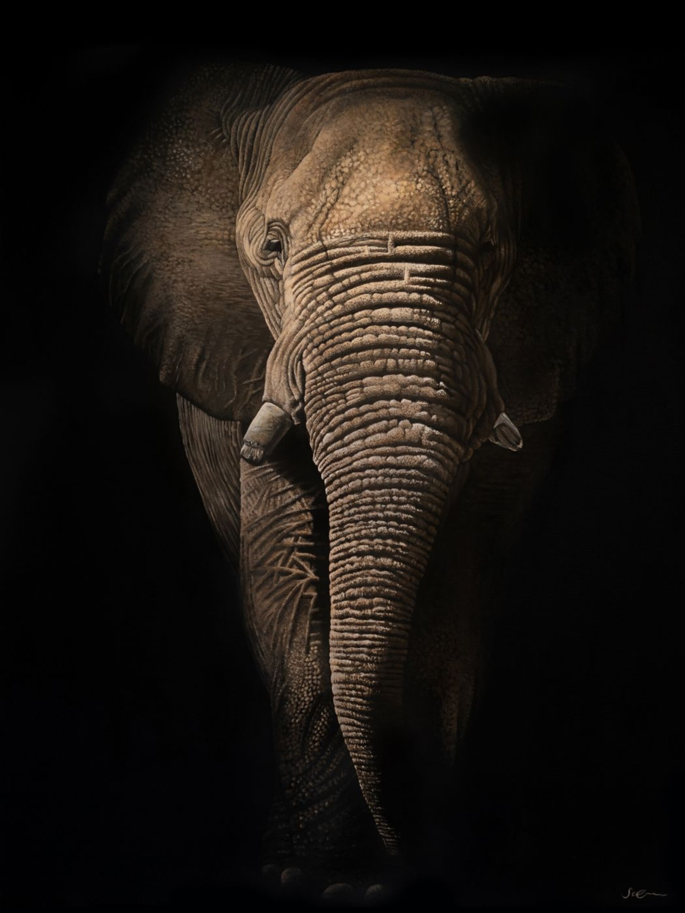 This artist’s animal paintings bridge a gap between photography and reality