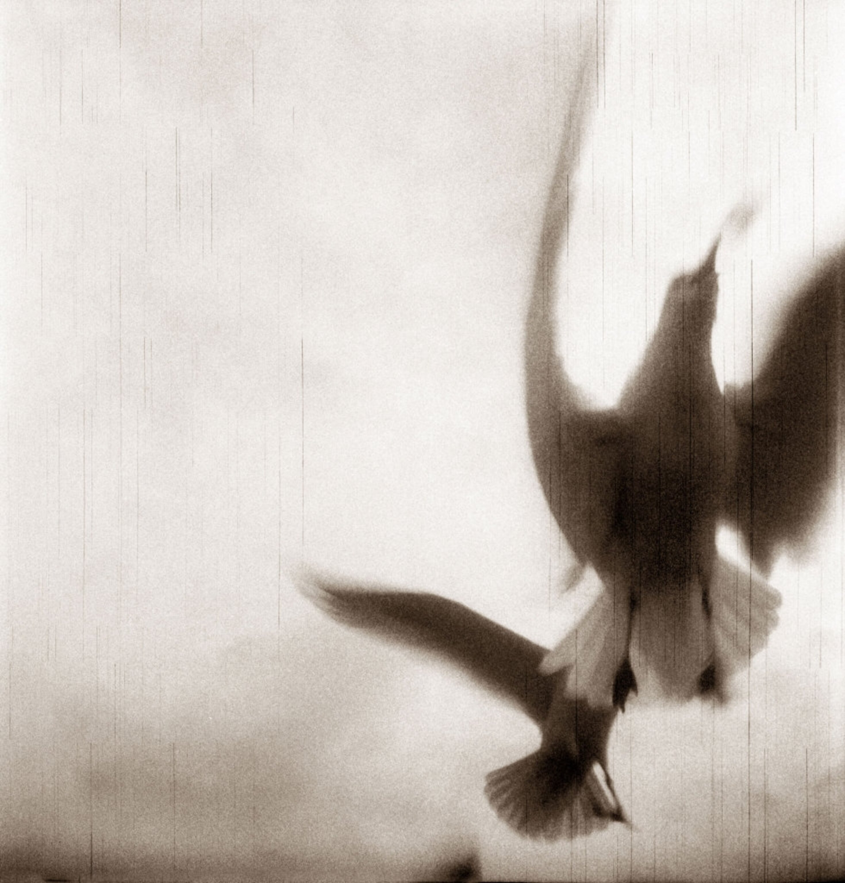 The Story of Flight Told in One Roll of Film | National Geographic