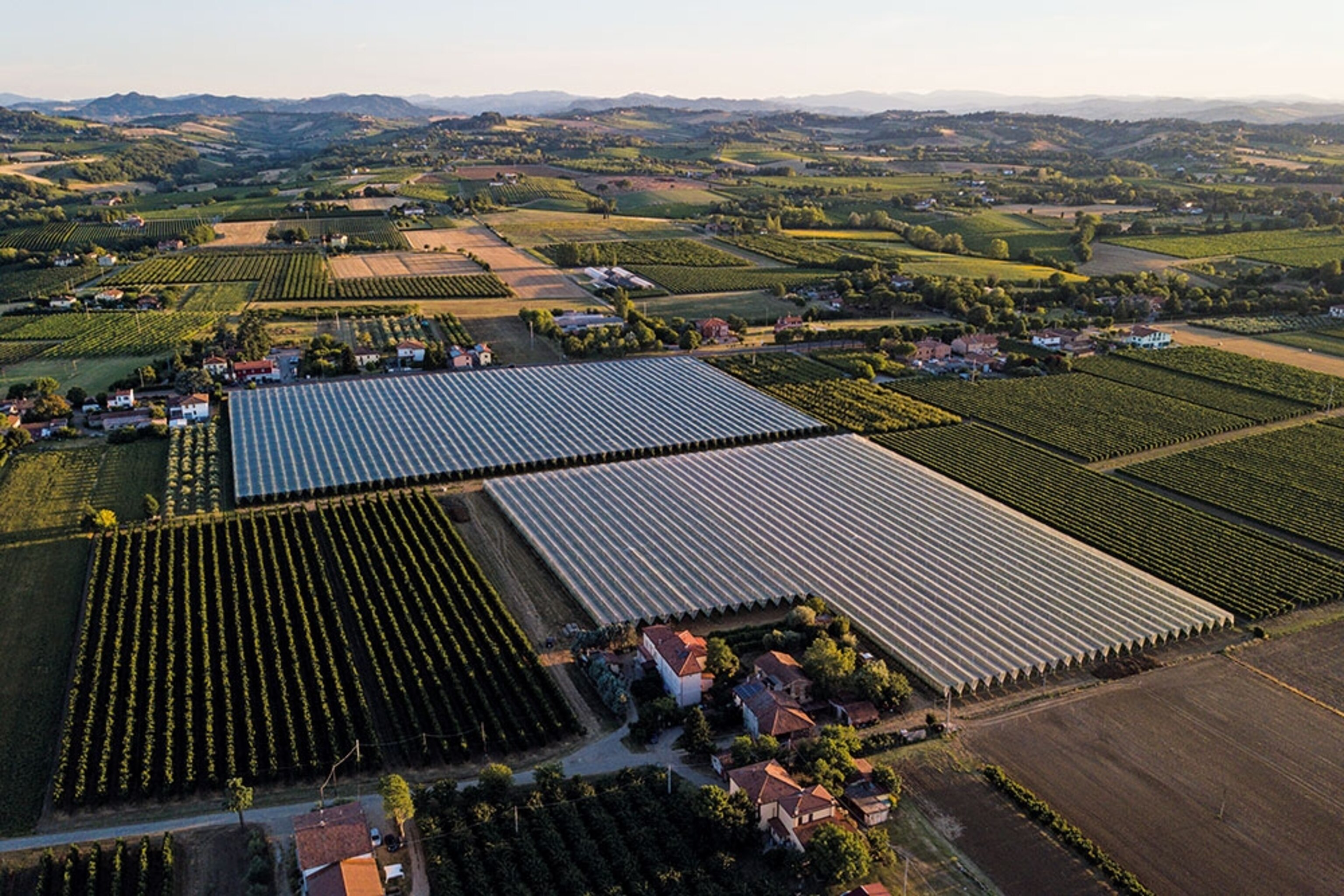 Celebrating World Photography Day, from mangoes to volcanoes