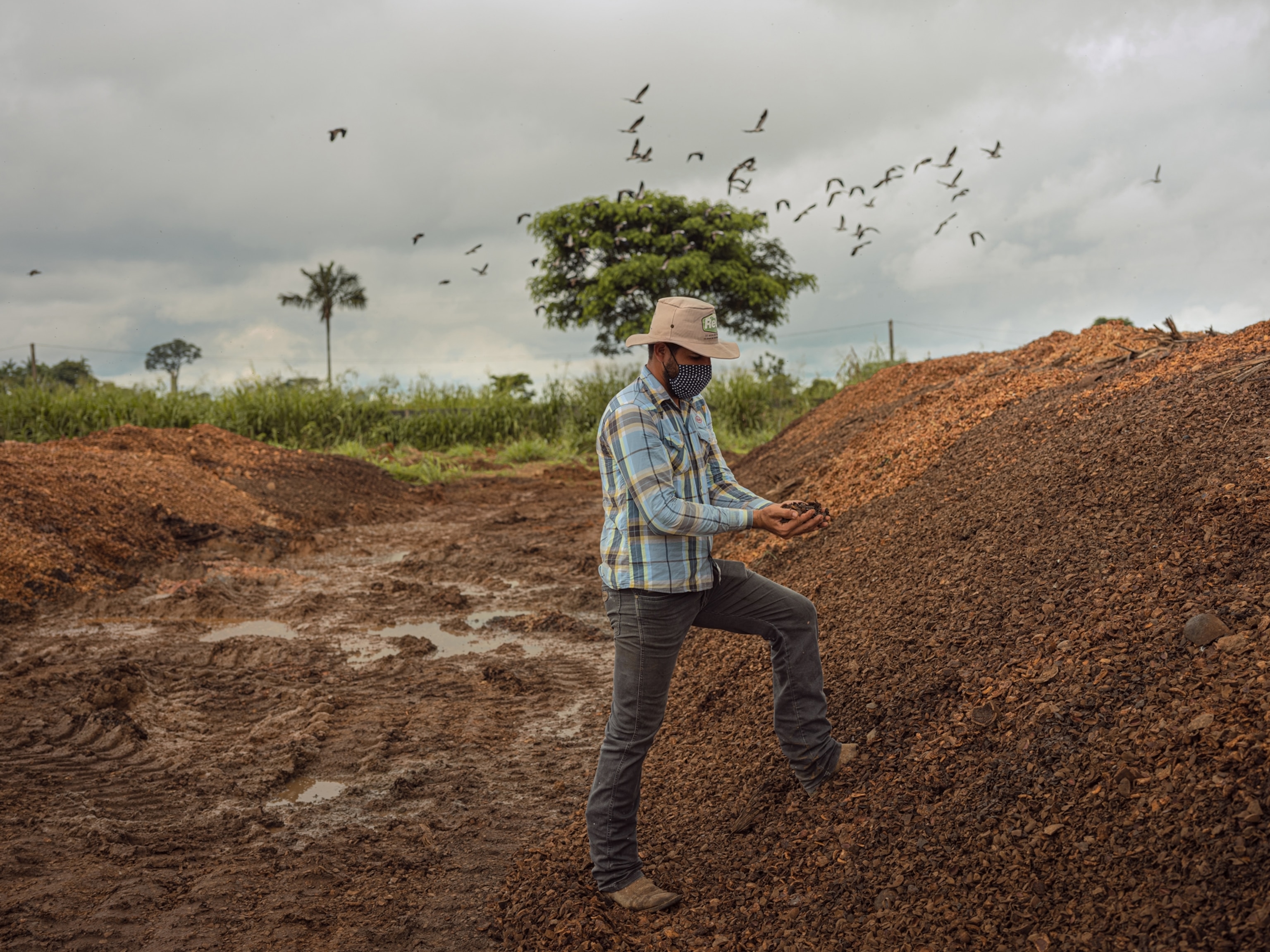 These farmers show that agriculture in the Amazon doesn’t have to be ...