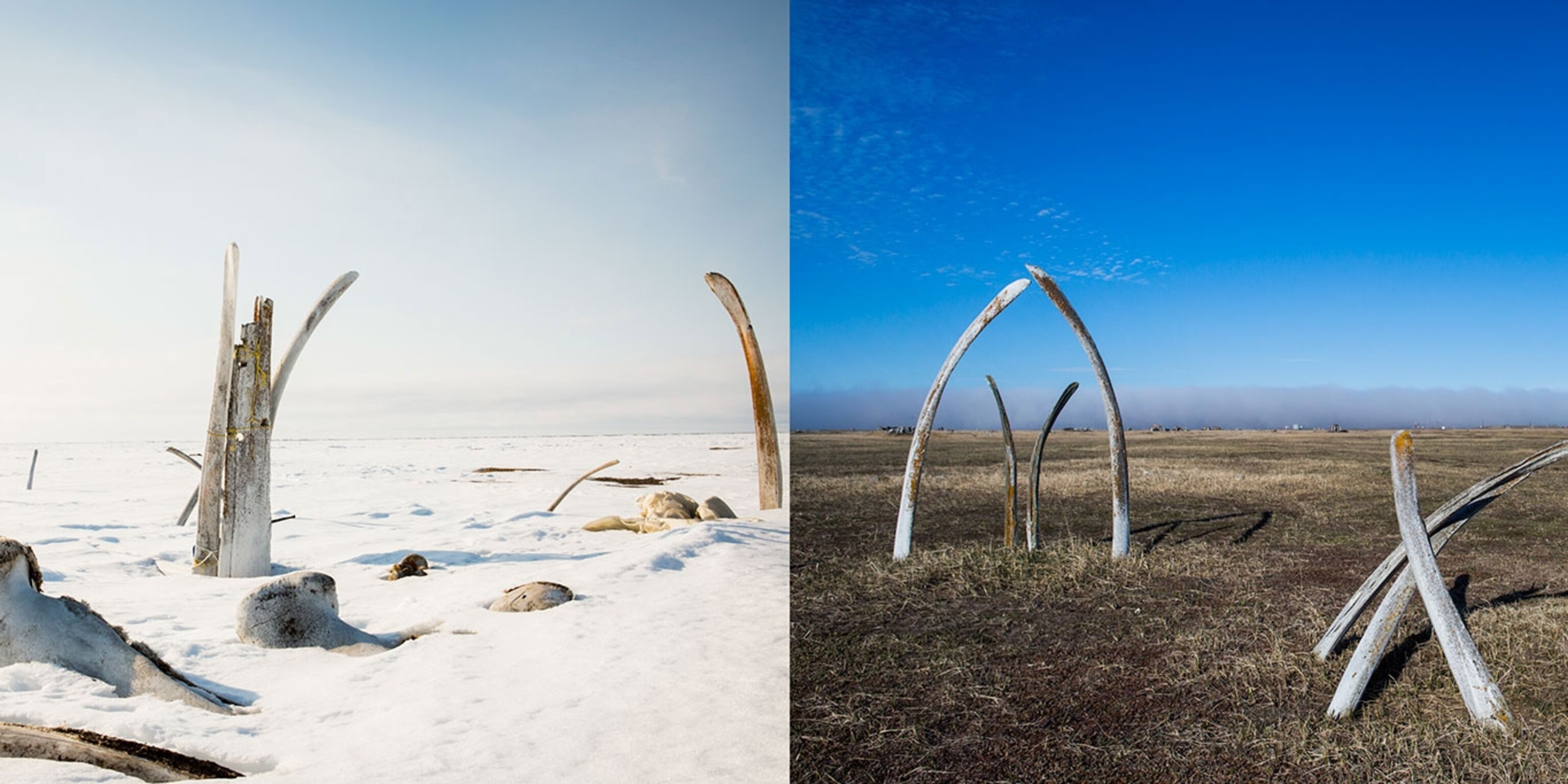 Photographing a Story That Changes Before Your Eyes