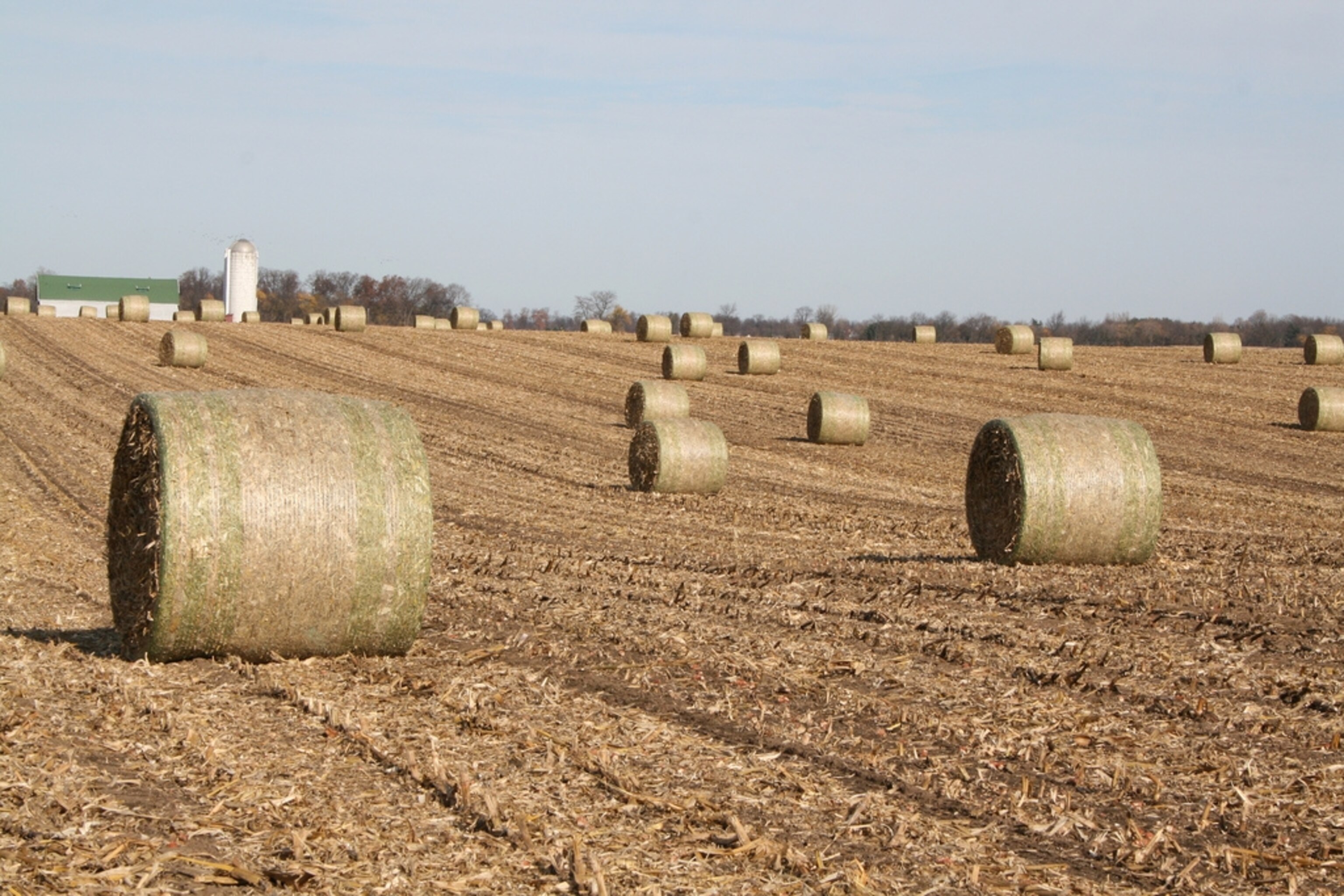 Corn Waste for Biofuel Could Boost Emissions, Study Finds