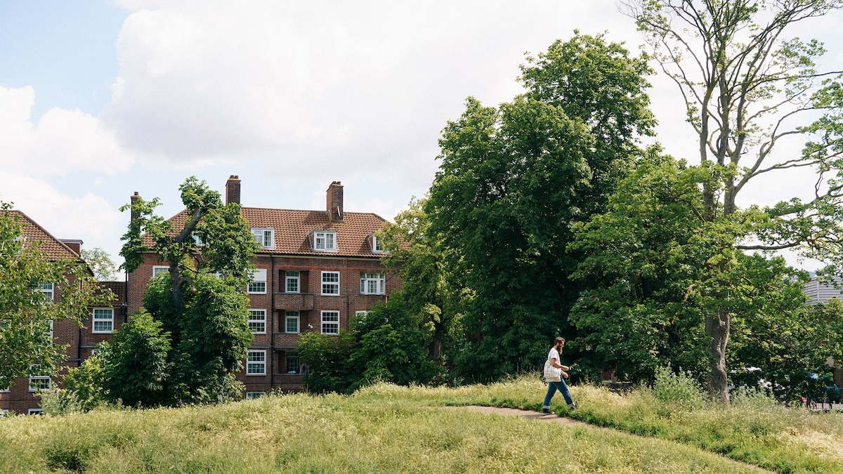 How urban foraging became the new way to explore a city | National ...
