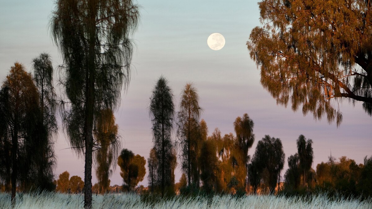 Pictures We Love: Australian Dreamland | National Geographic