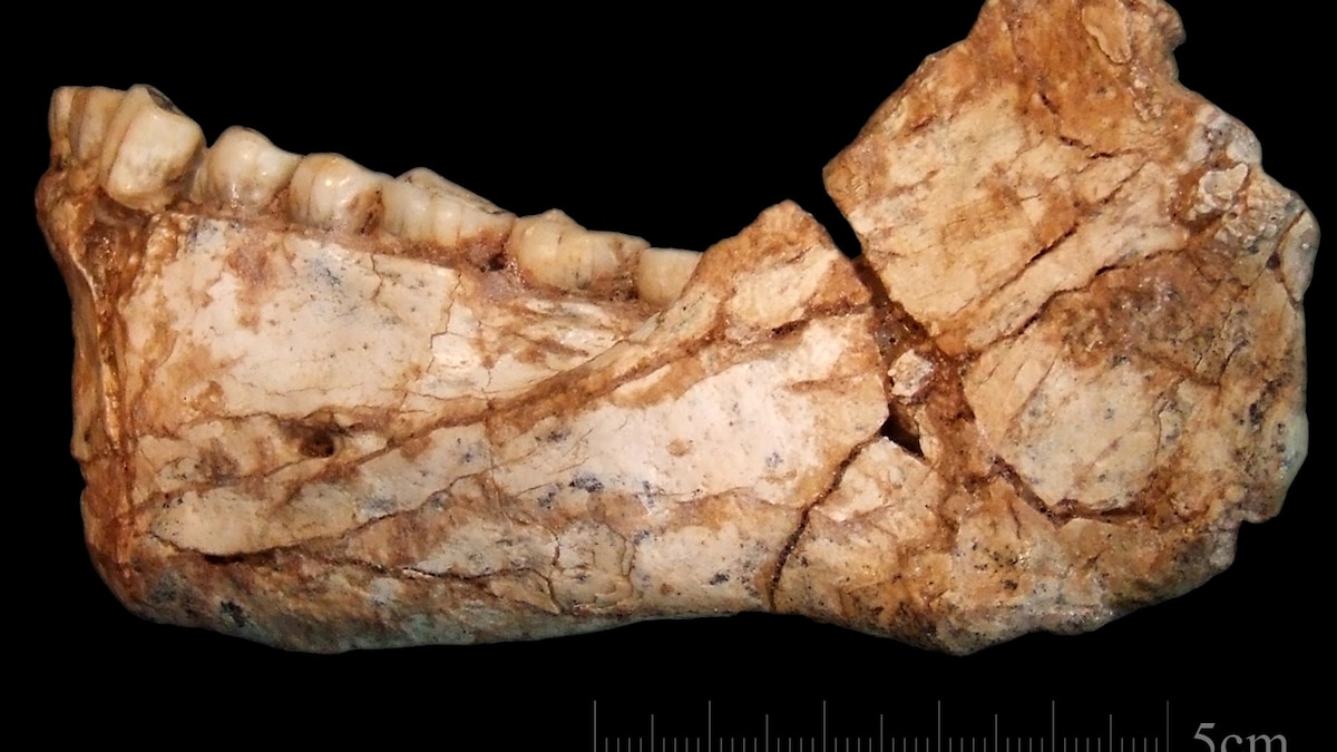 These Early Humans Lived 300,000 Years Ago—But Had Modern Faces ...