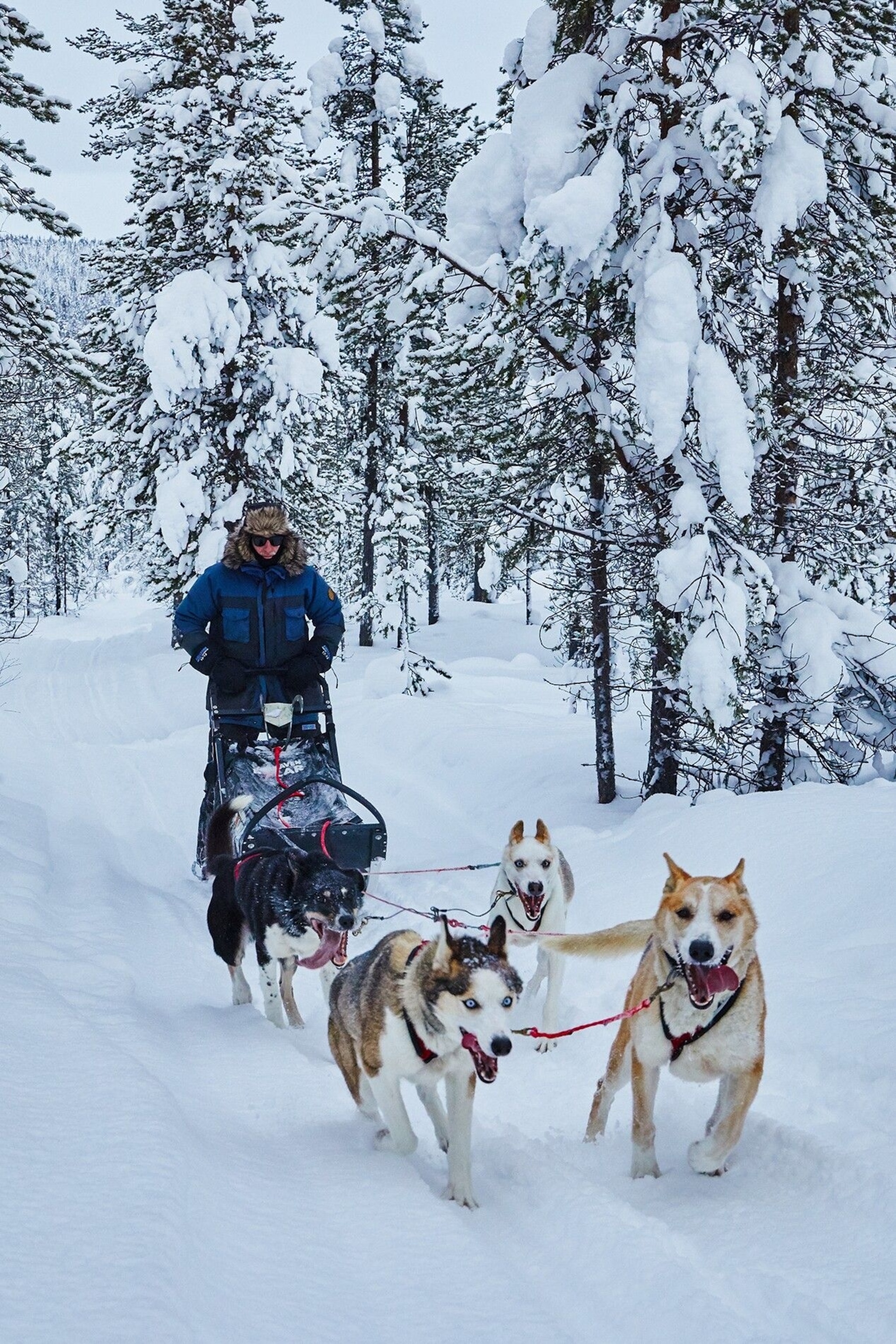 Photo story: winter adventures in northern Sweden | National Geographic