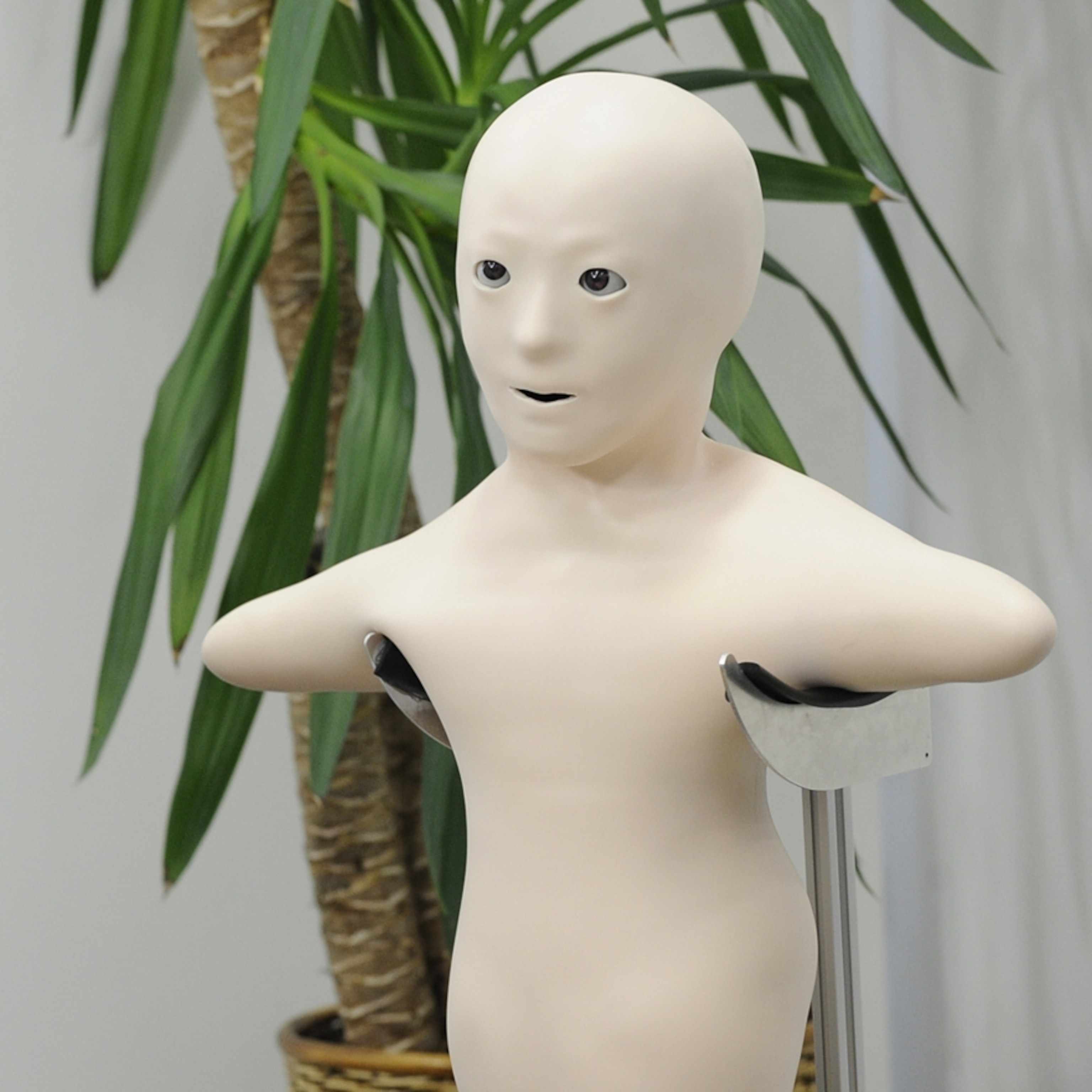 Pictures: "Ghost" Robot Lets User Cuddle, Chat Remotely