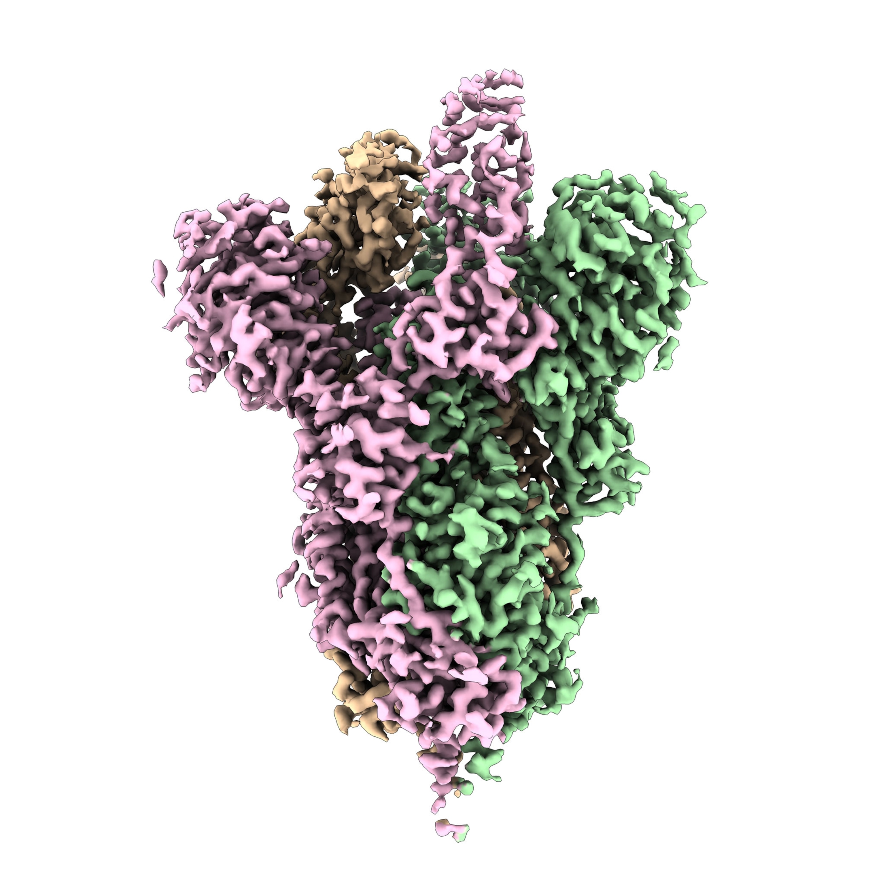 They spent 12 years solving a scientific puzzle. It yielded the first ...