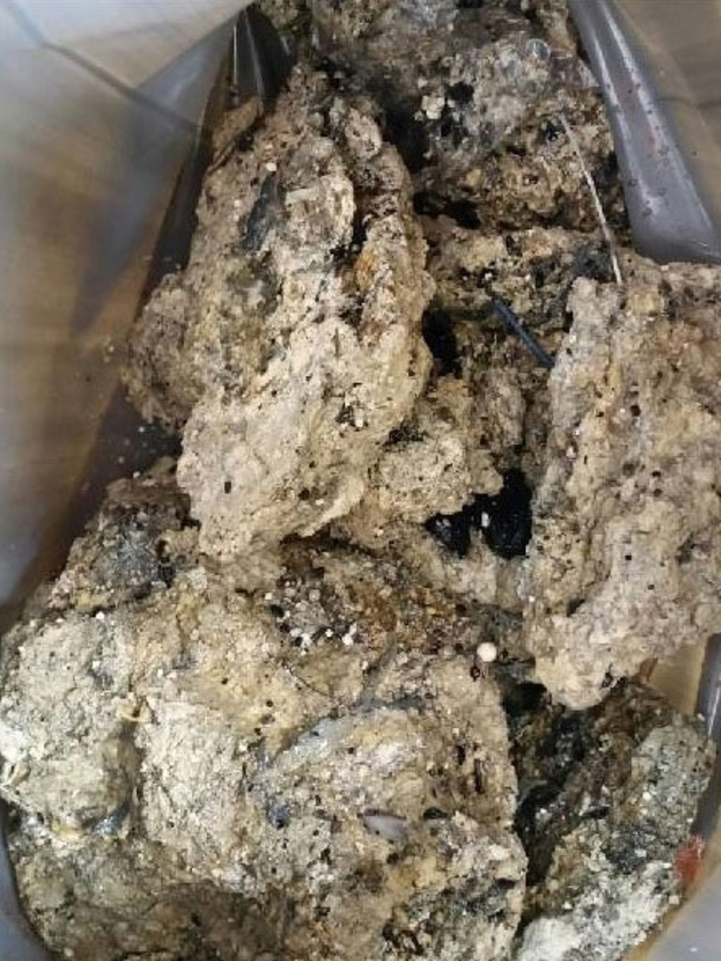 Huge Blobs of Fat and Trash Are Filling the World’s Sewers