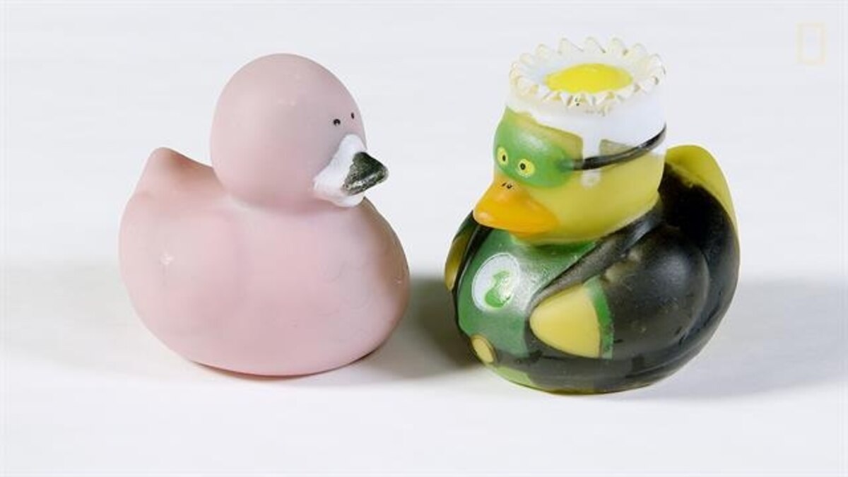 Your Home Is a Hidden World of Germs | National Geographic