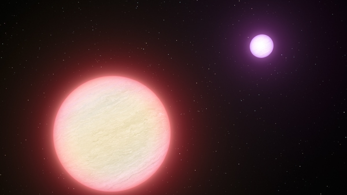 Coldest Star Found—No Hotter Than Fresh Coffee | National Geographic