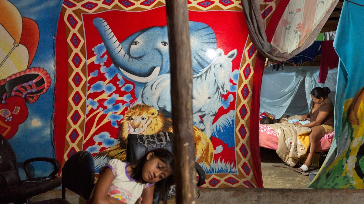 Five Surprising Facts About Daydreaming | National Geographic