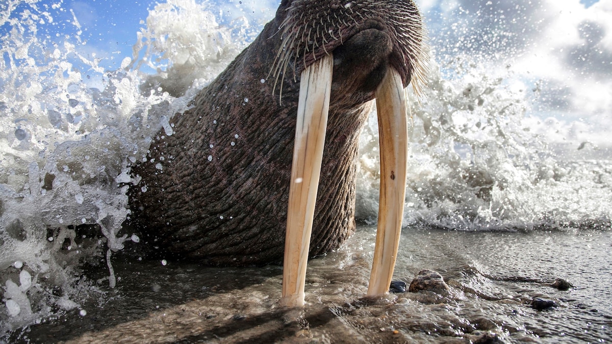 Photo of the Day: Best of October 2016 | National Geographic
