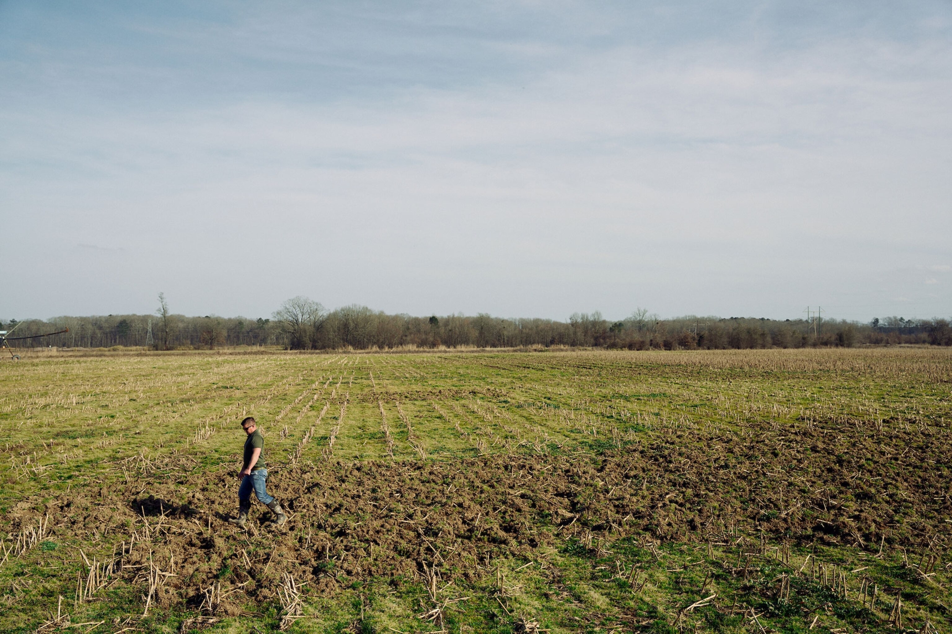 The battle to control America’s ‘most destructive’ species: feral pigs