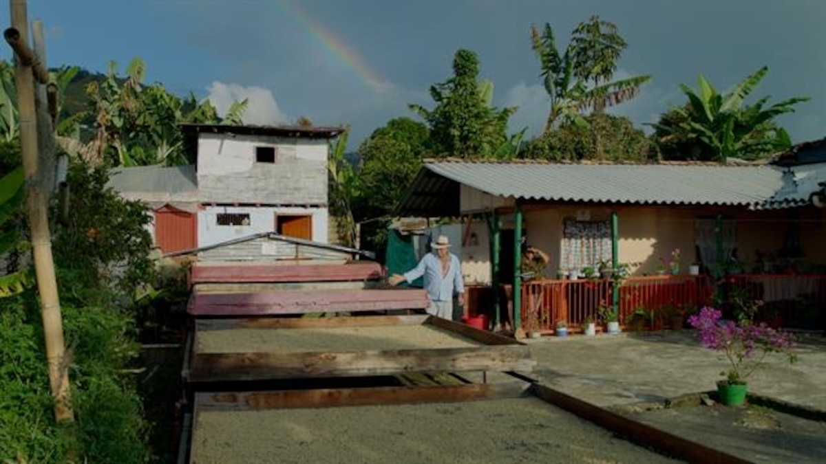 Securing a livelihood for generations of coffee farmers | National ...