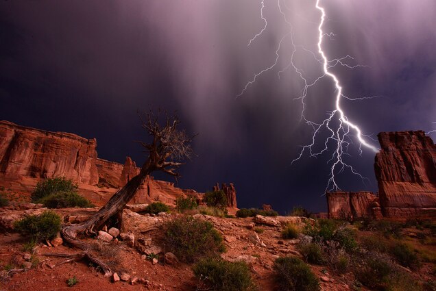 Great Outdoors Lightning Strike - Outdoor Lighting Ideas