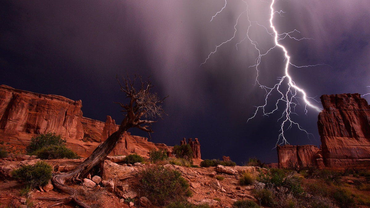 How to Survive a Lightning Strike? Stay Out of Its Way. | National ...