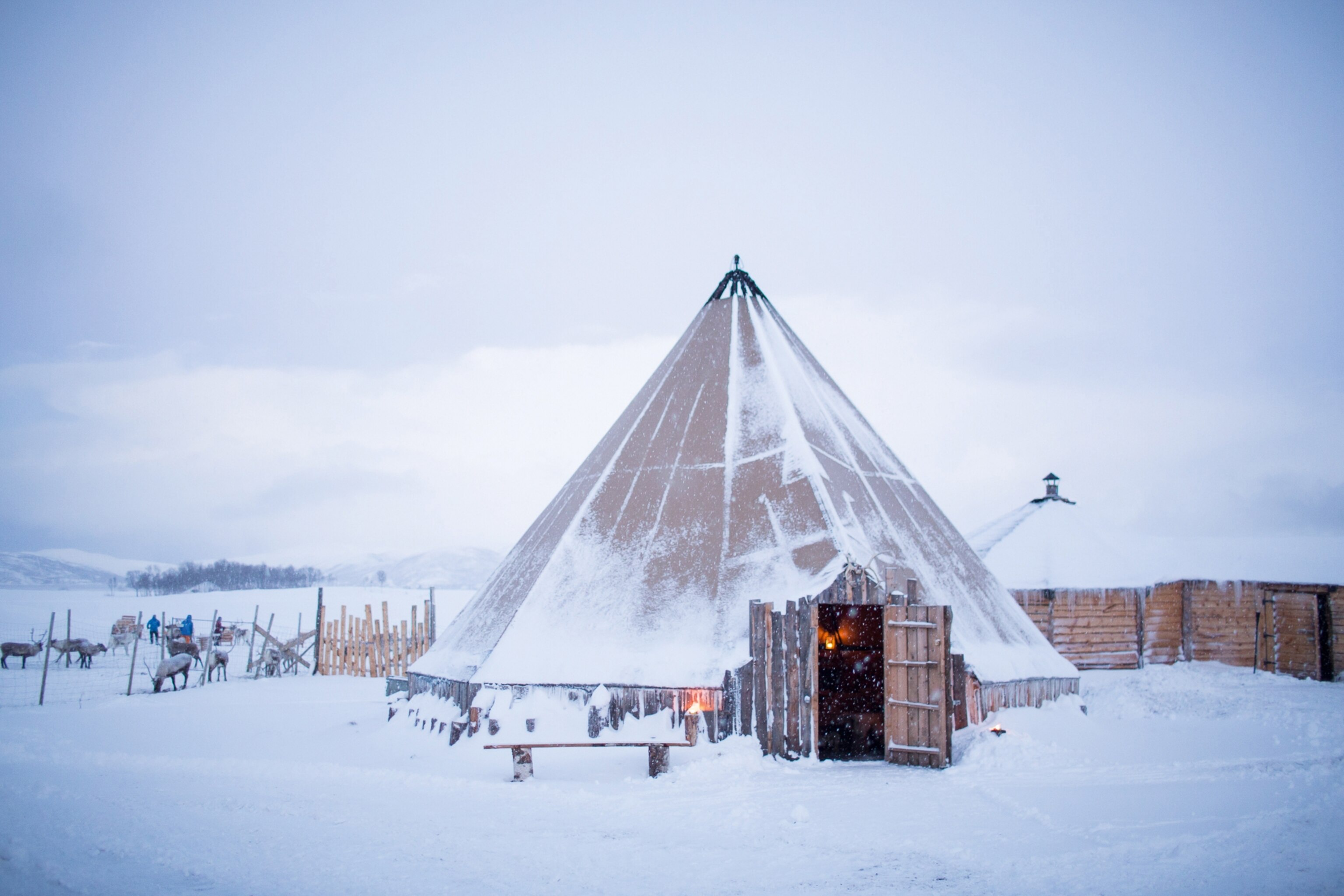 4 of the best food experiences in Tromsø, Norway