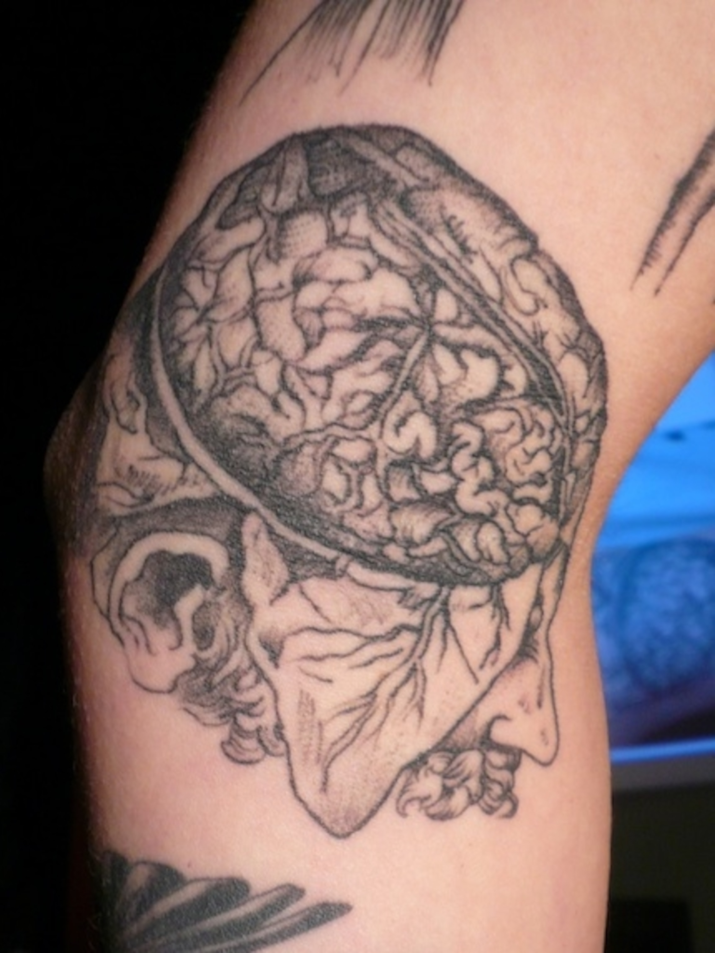 The Quivering Brain [Science Tattoo]