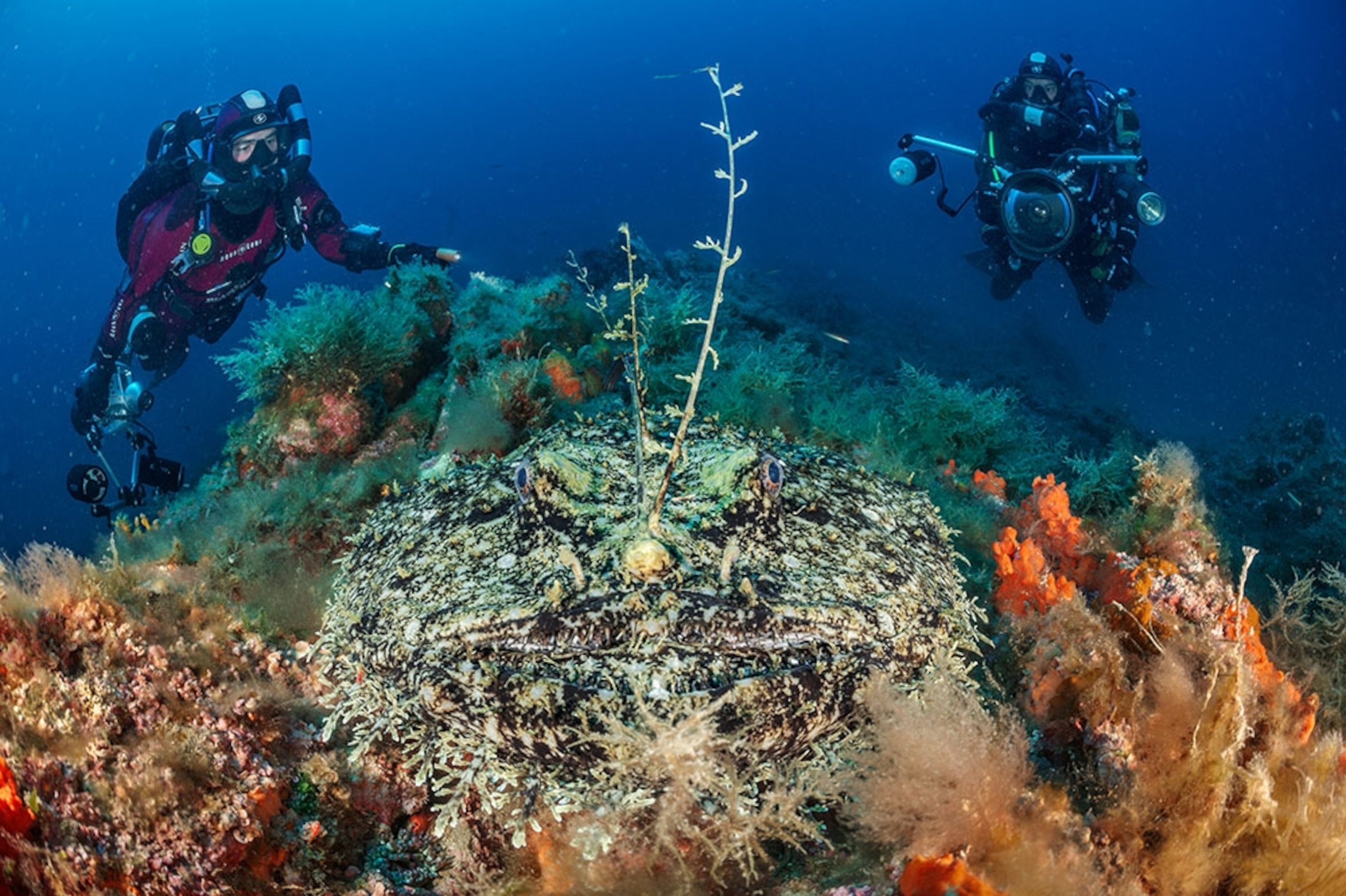 DISCOVERING A NEW WORLD