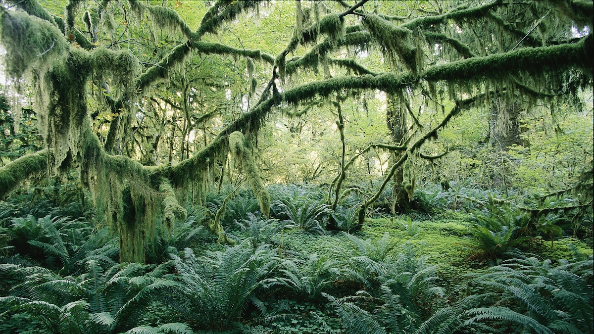 Places that captured our readers' hearts | National Geographic