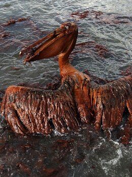 Water Pollution Oil Spills Effects