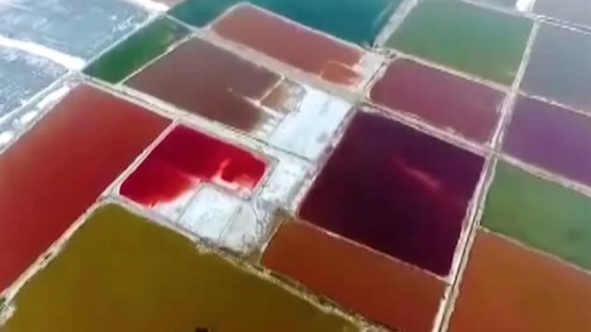 Yuncheng, China's Xiechi Lake Turns Red and Brown From Algal Blooms ...