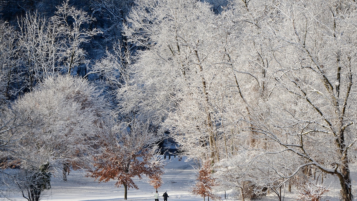Editor's Picks: Our Favorite Pictures of the U.S. Snowstorm | National ...