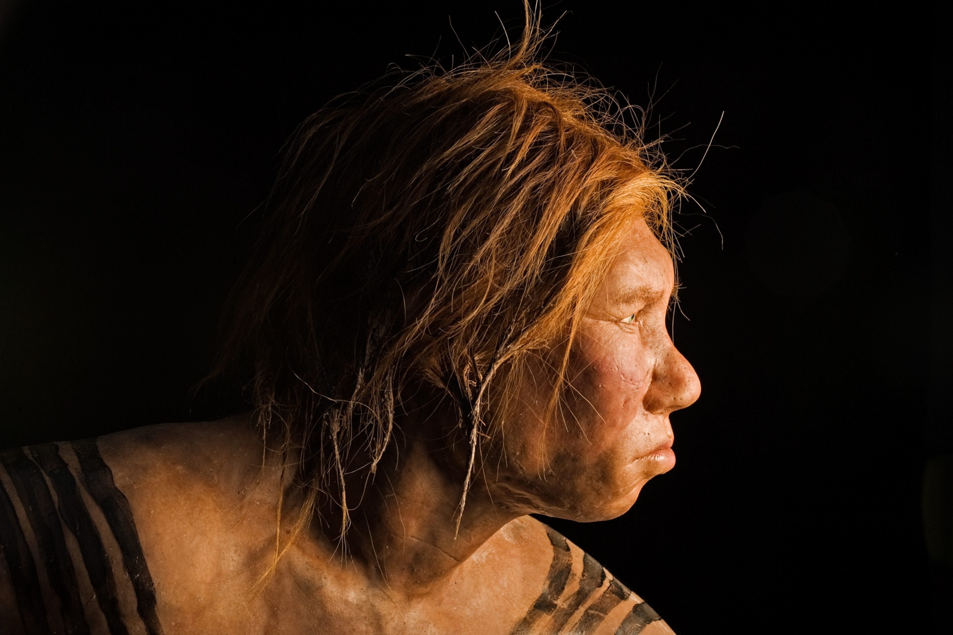 Did Dog-Human Alliance Drive Out the Neanderthals?